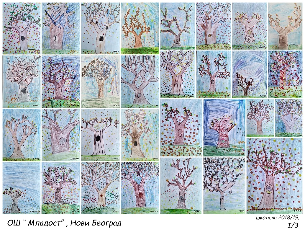 Како расте дрво? | Учитељски кутак