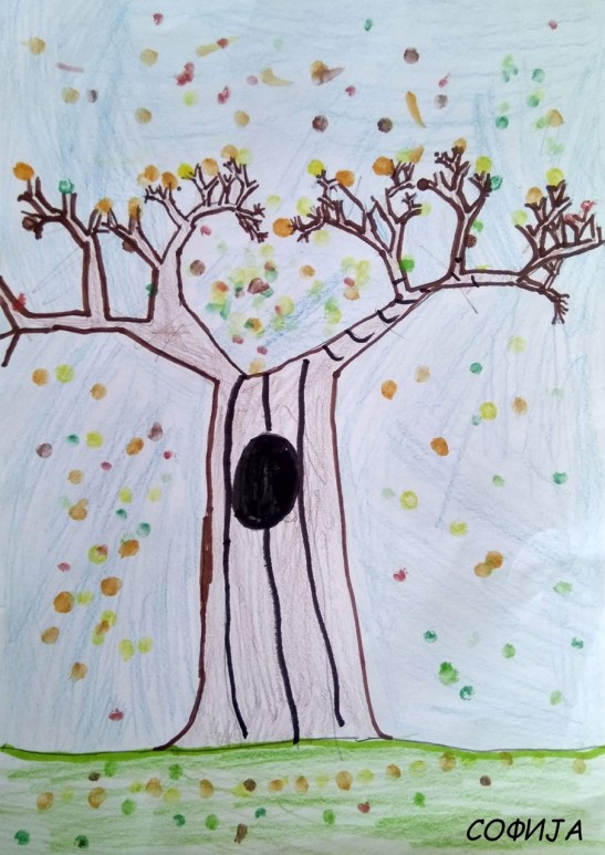 Како расте дрво? | Учитељски кутак