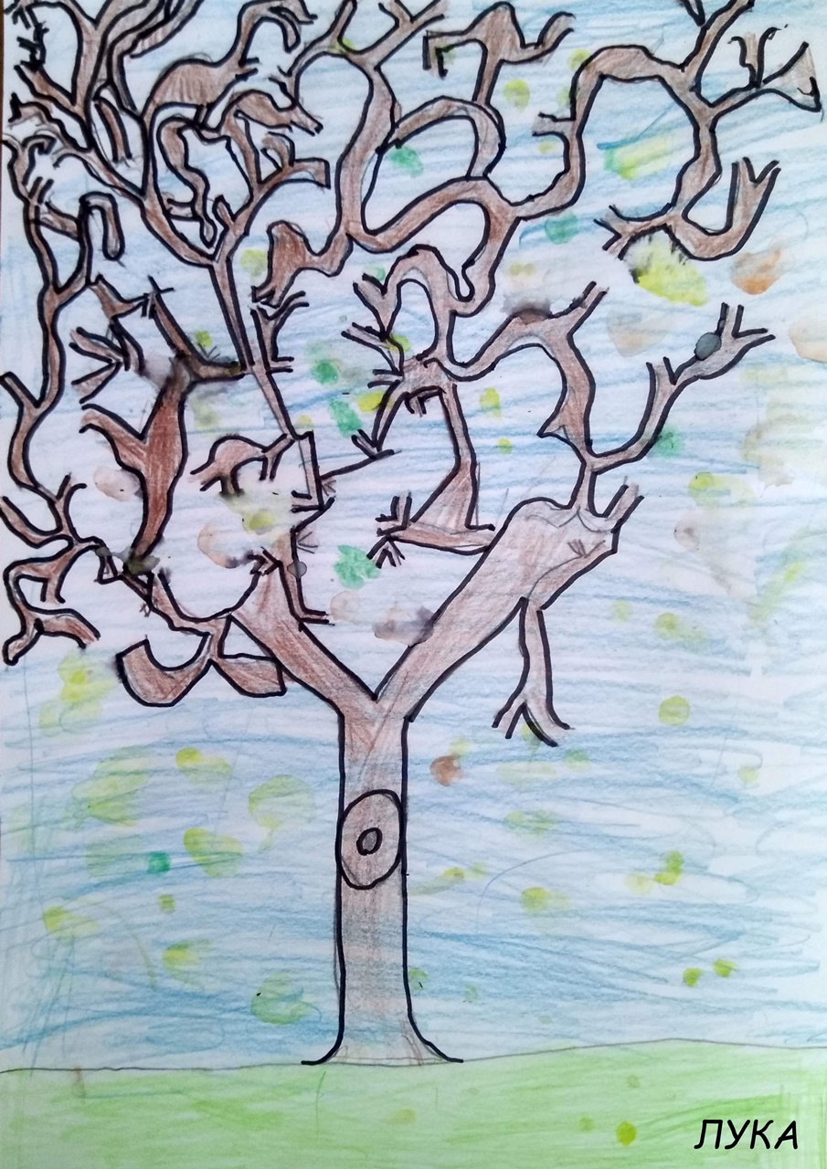 Како расте дрво? | Учитељски кутак