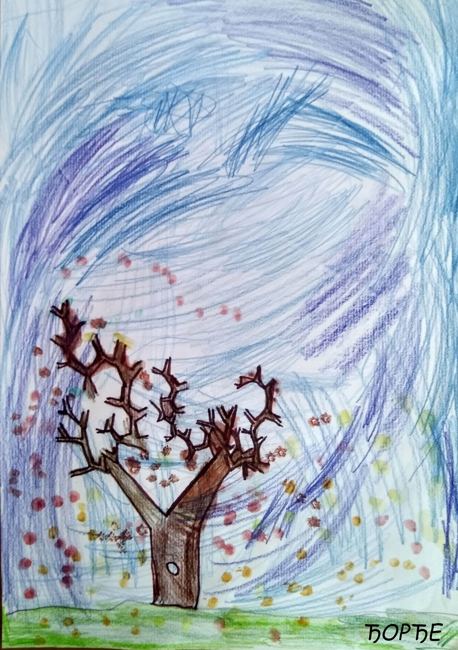 Како расте дрво? | Учитељски кутак