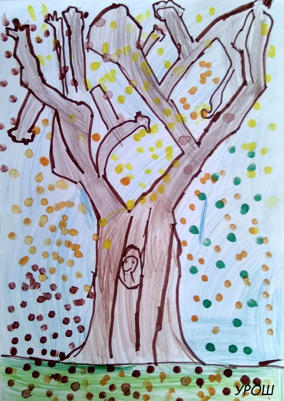 Како расте дрво? | Учитељски кутак