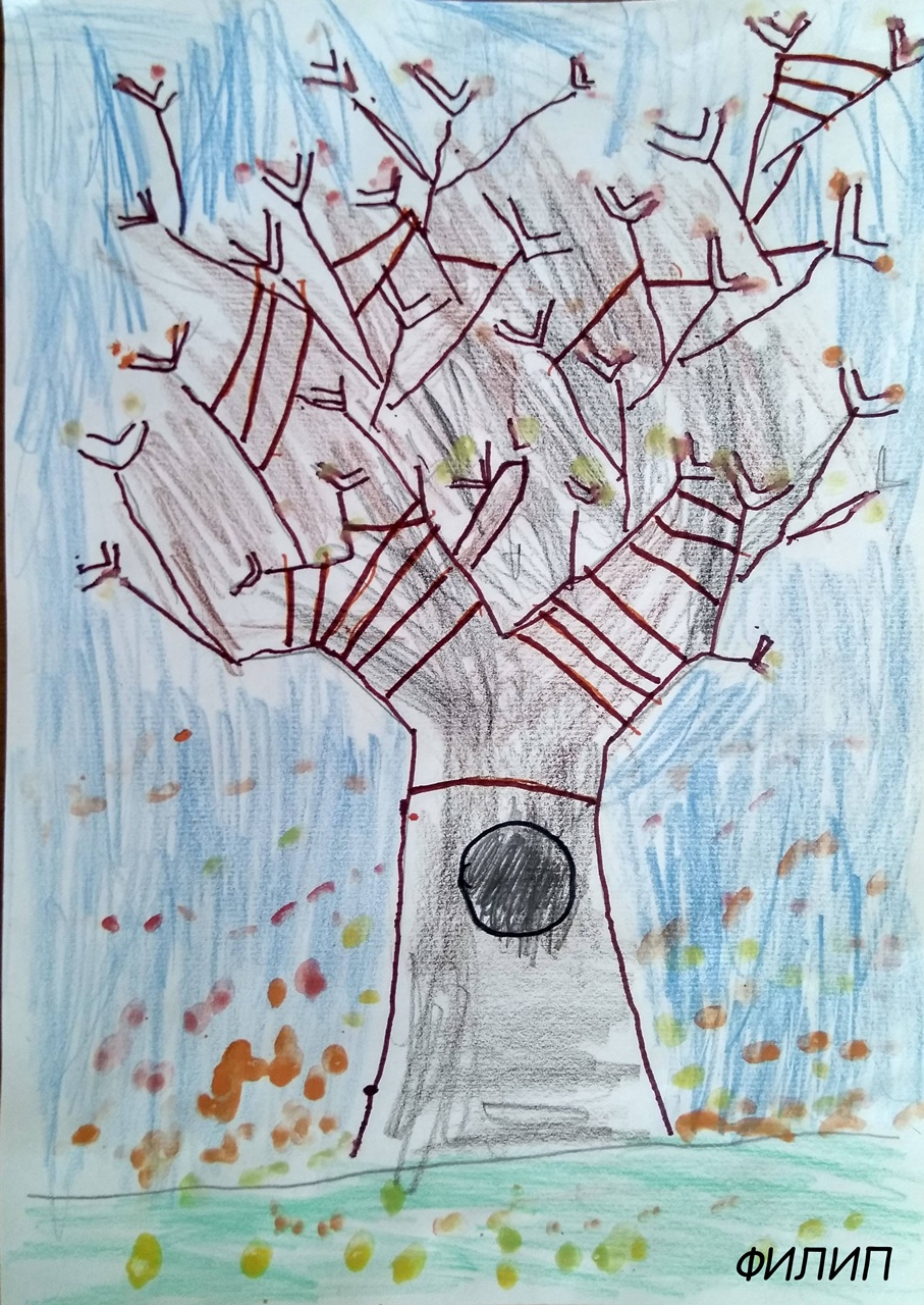 Како расте дрво? | Учитељски кутак