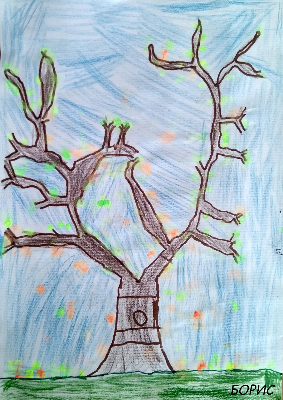 Како расте дрво? | Учитељски кутак