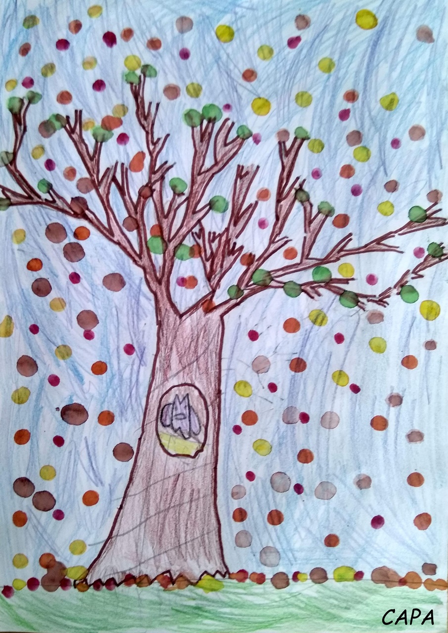 Како расте дрво? | Учитељски кутак