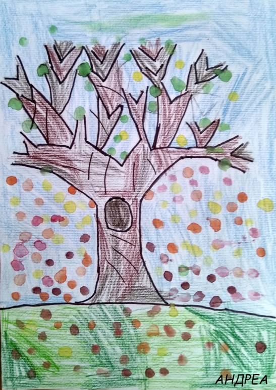 Како расте дрво? | Учитељски кутак