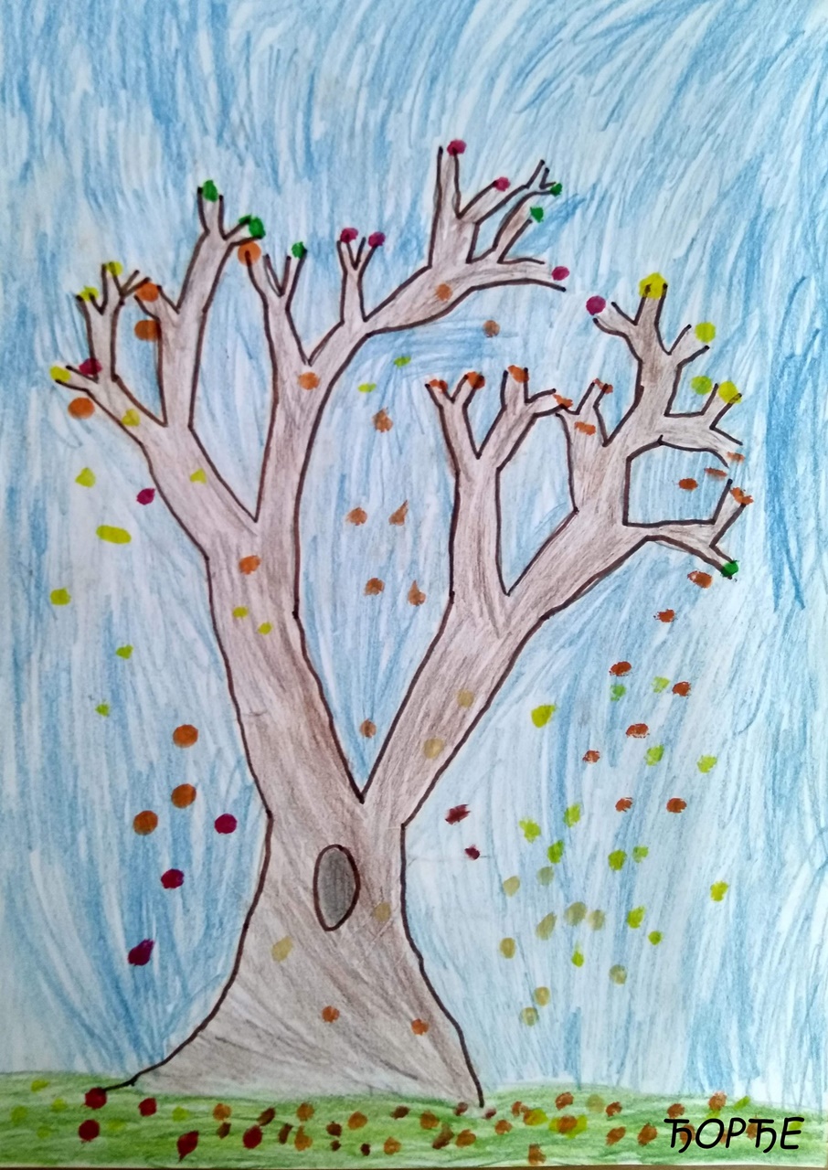 Како расте дрво? | Учитељски кутак